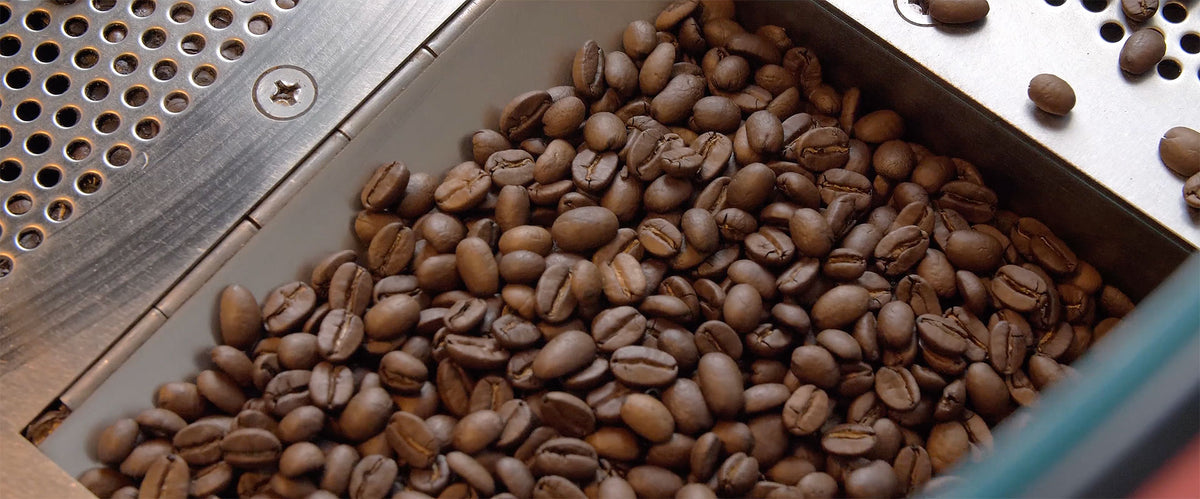 Coffee Beans – Frog Friendly Coffee
