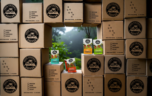 Frog Friendly Coffee - Wild & Organic Coffee