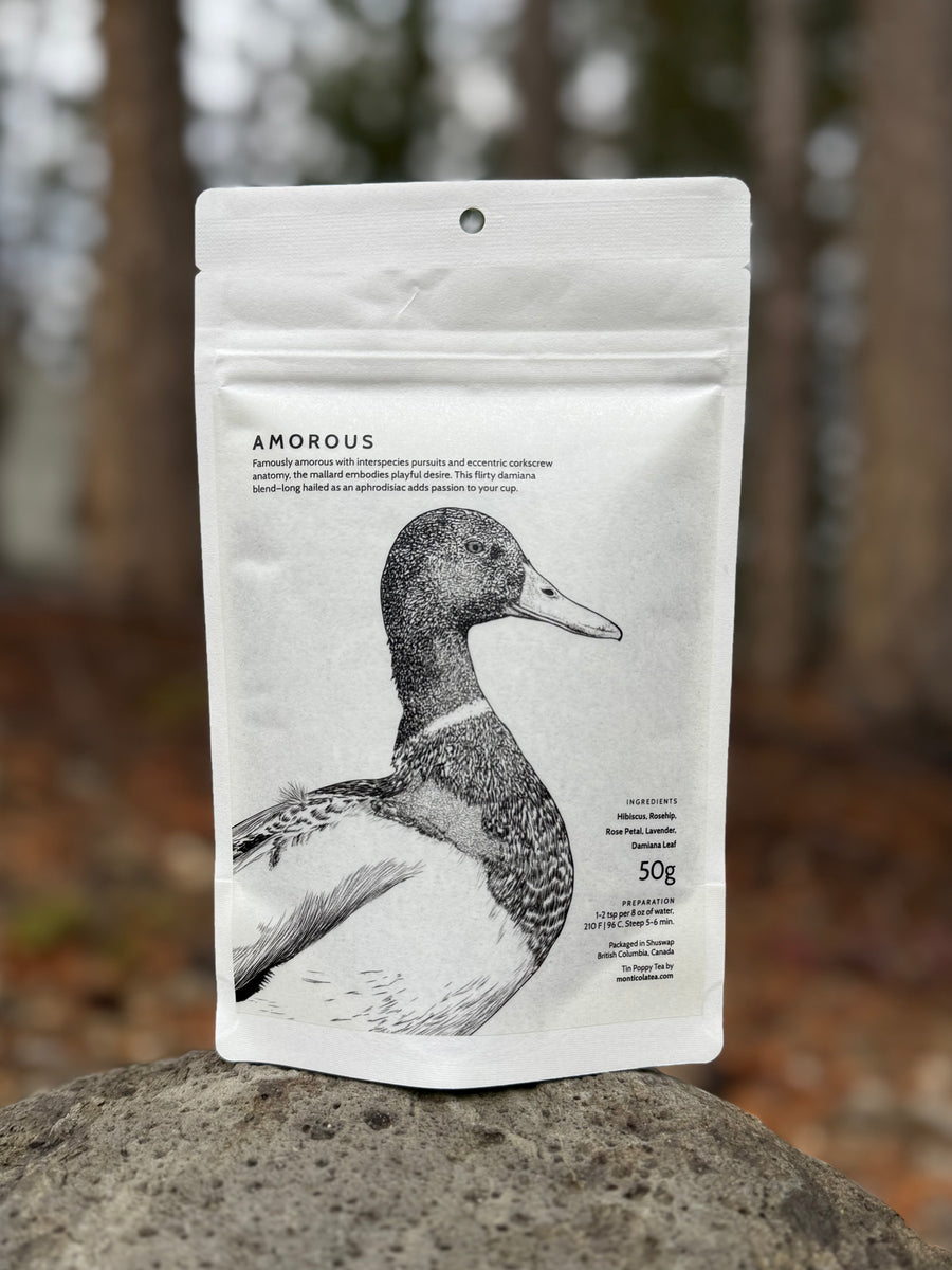 Amorous Tea – Frog Friendly Coffee