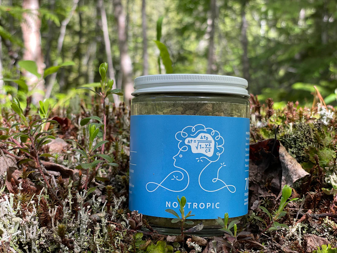 Nootropic Tea – Frog Friendly Coffee